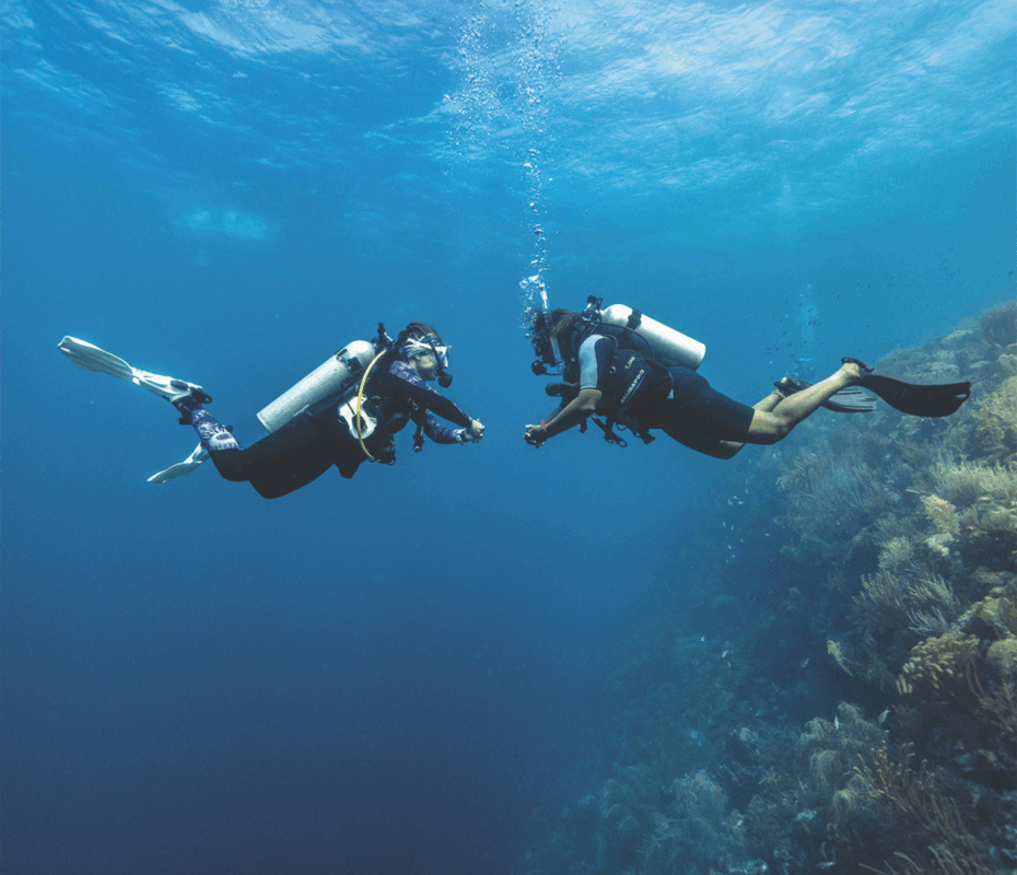 CURSO DE ESPECIALIDADES PROFUNDA PADI - Scuba Panamá