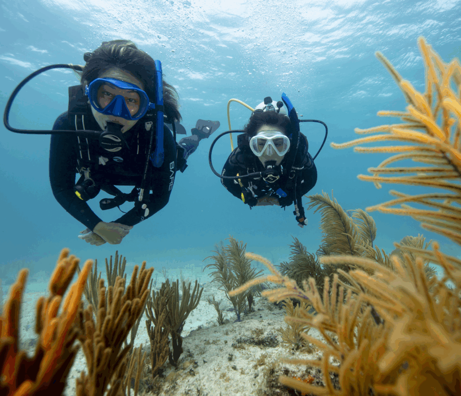 DIVEMASTER COURSE - Scuba Panamá