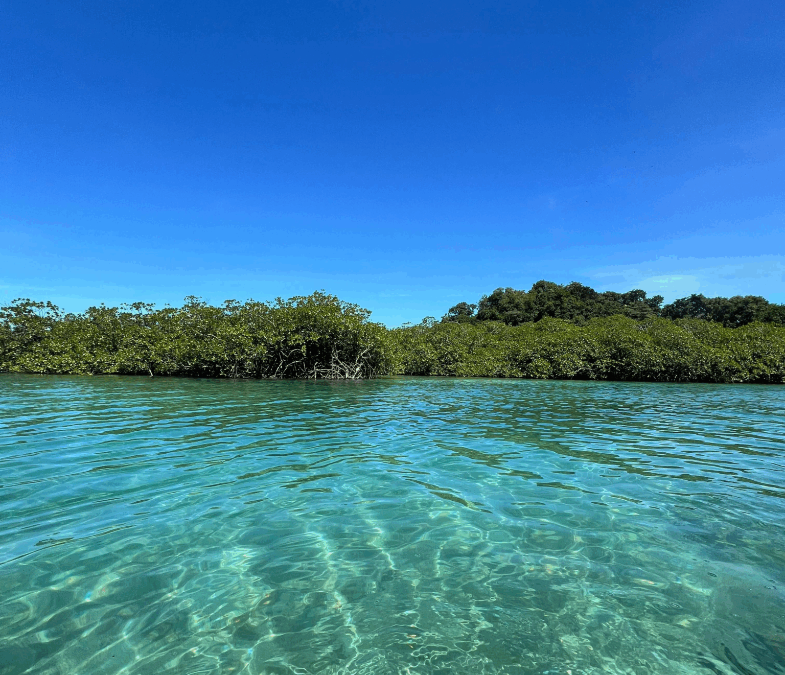 Inicio - Scuba Panamá